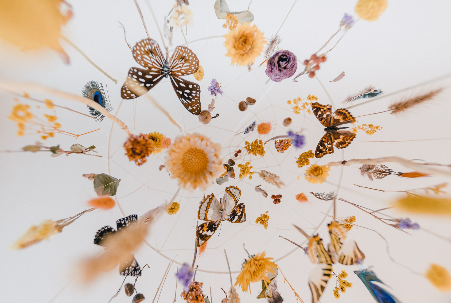 Naturfriseurin Daniela Nagel – Holistische & Locken-Expertin in Donzdorf