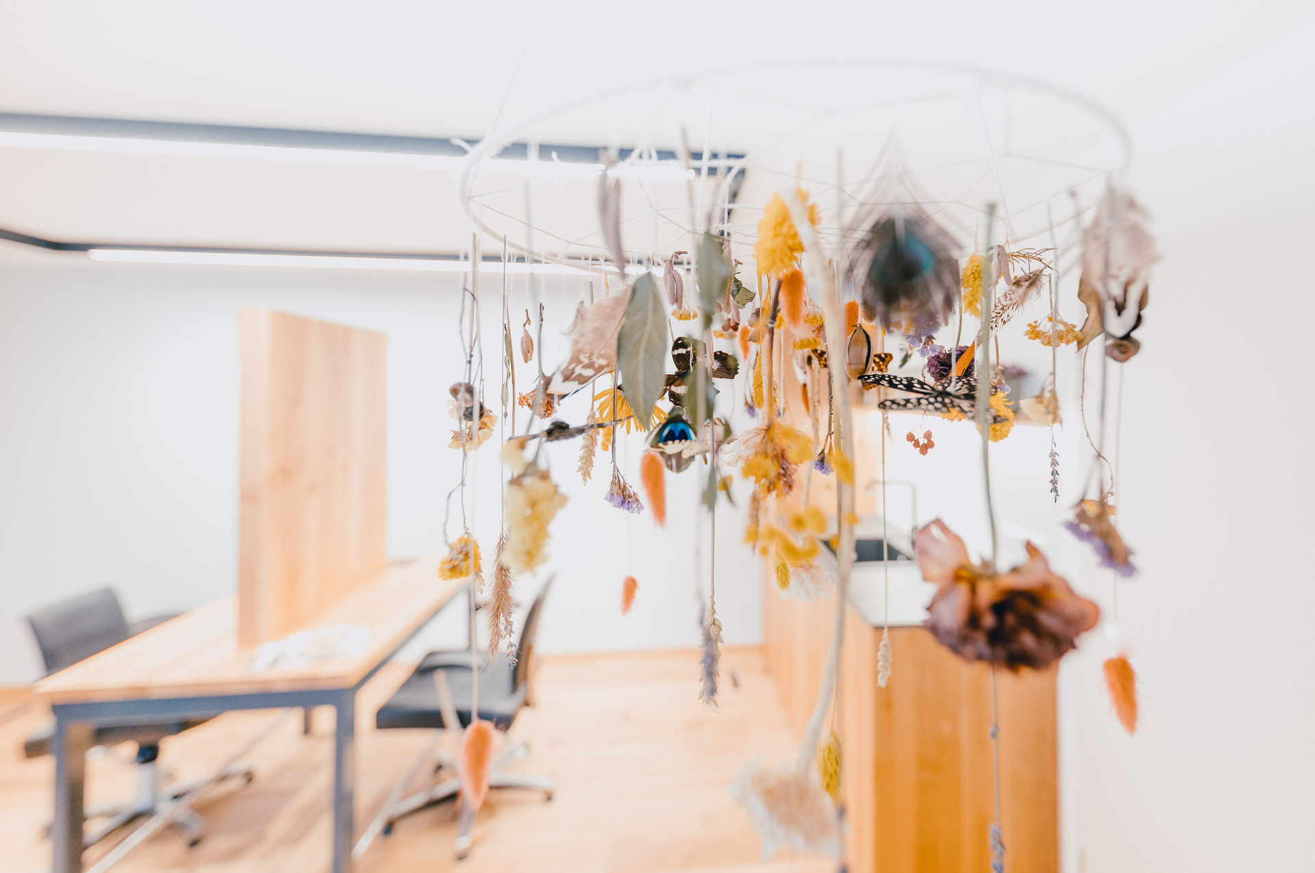 Naturfriseurin Daniela Nagel – Holistische & Locken-Expertin in Donzdorf